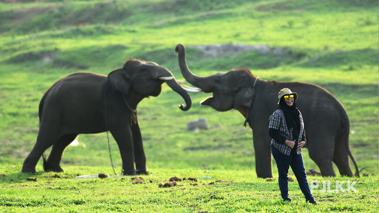10 Taman Nasional di Indonesia, Ada yang Jadi Warisan Dunia- Blue Bird ...